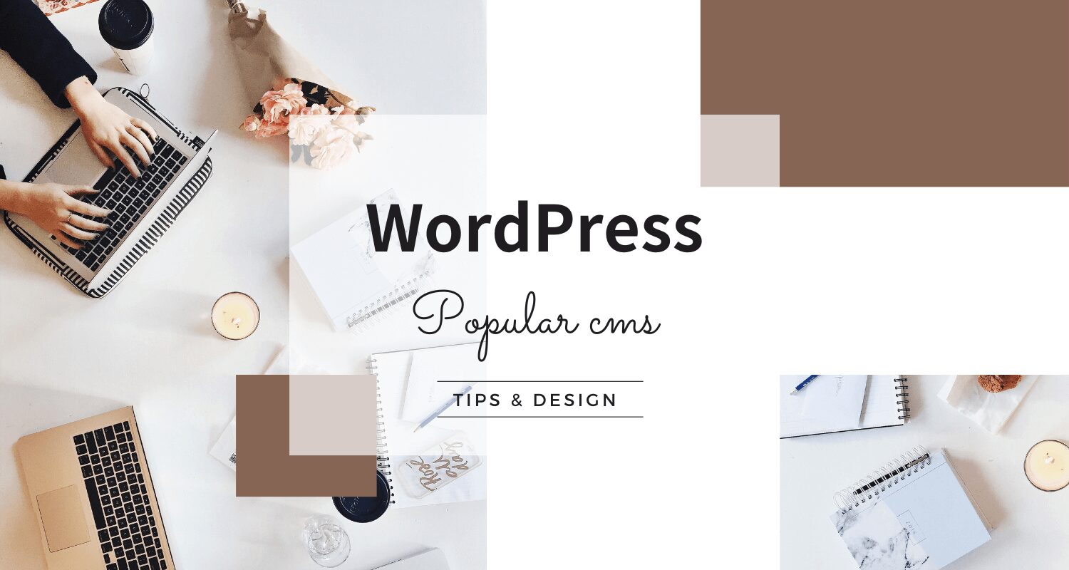 Localとwp-envのデータベースアクセス方法【WordPressローカル環境構築】 | きむおばブログ